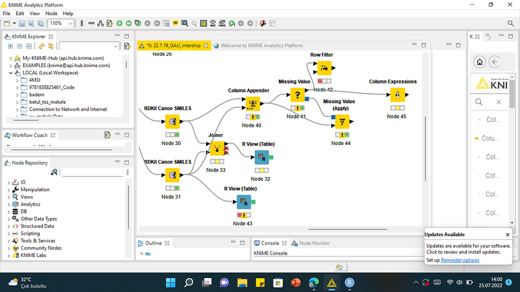 flow variable inserting to R view - KNIME Analytics Platform - KNIME ...